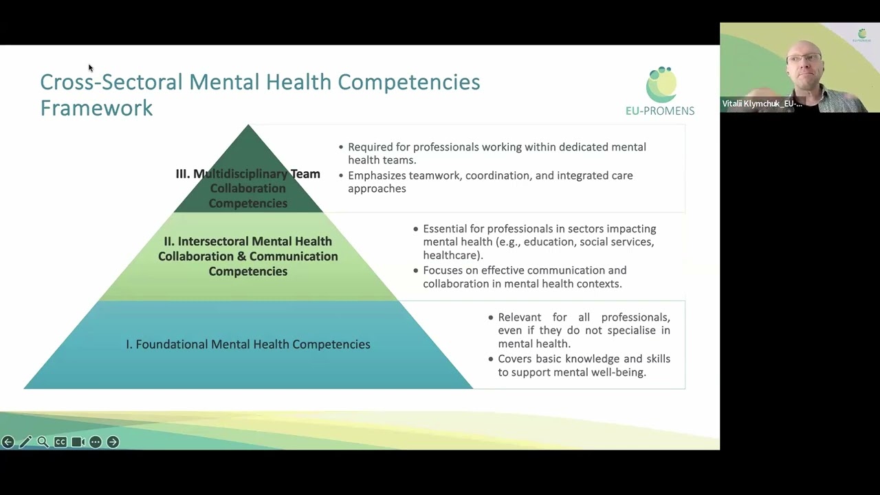 Lessons learned from exploring and implementing cross-sectoral mental health competency framework