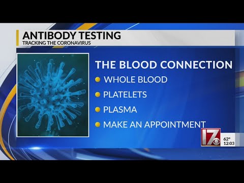 Antibody testing at The Blood Connection