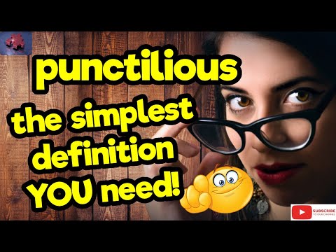 PUNCTILIOUS. The simplest definition YOU need!! #tellsvidetionary™