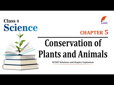 NCERT Solutions for Class 8 Science - Chapter 7