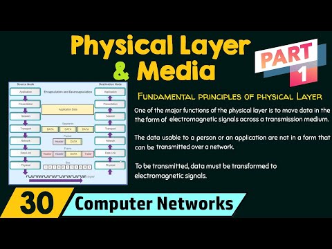 Physical Layer and Media (Part 1)