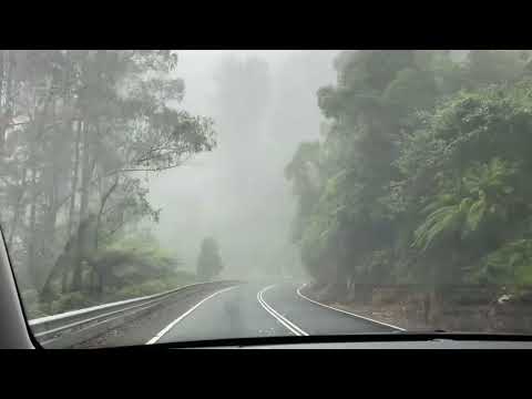 Foggy weather way to Merimbula nsw