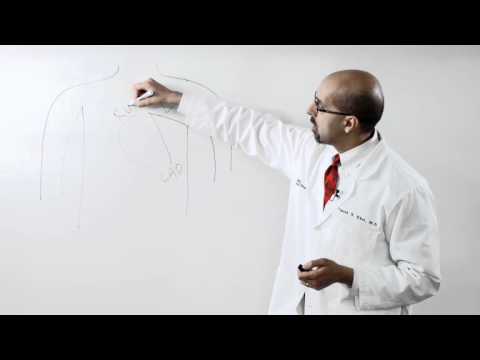 Heart Blood Flow Explained