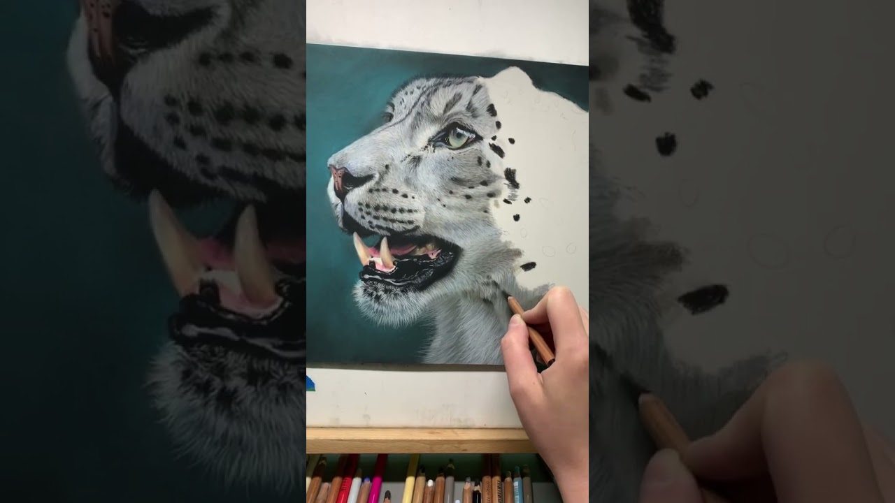 Snow leopard in pastel. #art