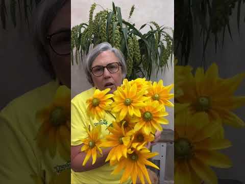Another Cool Flower! Absolutely love this Rudbeckia and of course, the 8 others I also