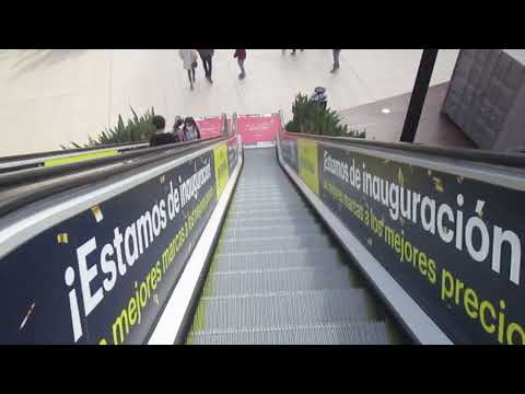 Thyssen escalators at Bonaire shopping center