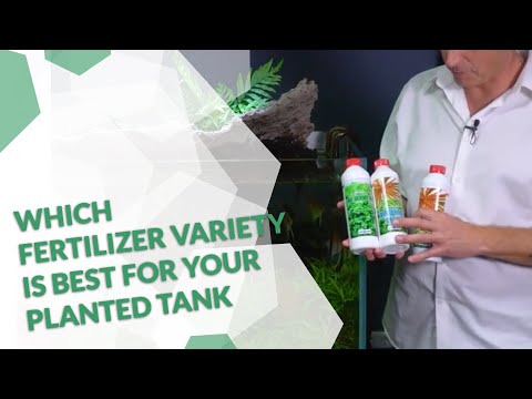 welcher Dünger ist richtig für mein Aquarium?  Tips and Tricks  in der  Aquaristik