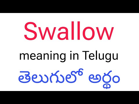 Swallow meaning in telugu || Swallow తెలుగులో అర్థం || Swallow telugu meaning || Swallow meaning