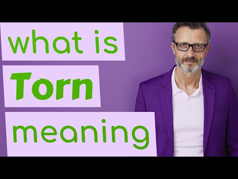 Torn | Meaning of torn 📖