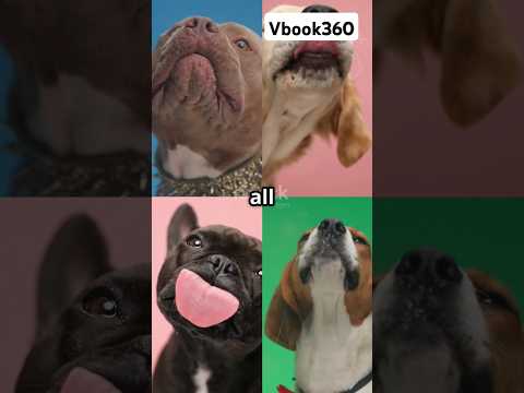 AI Decodes Your Dog's Emotions!