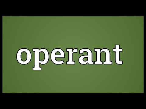 Operant Meaning