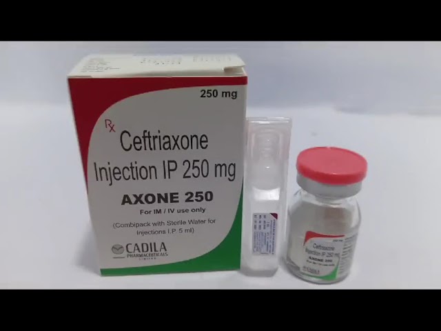 Antibiotics Medicine - Axone 250mg Injection Exporter from Nagpur