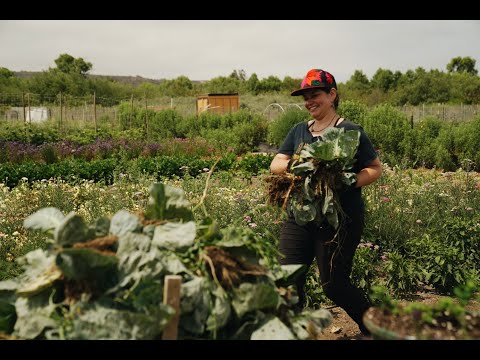Meet our Foodshed Farmers: Pixca and Grow Eco Farm