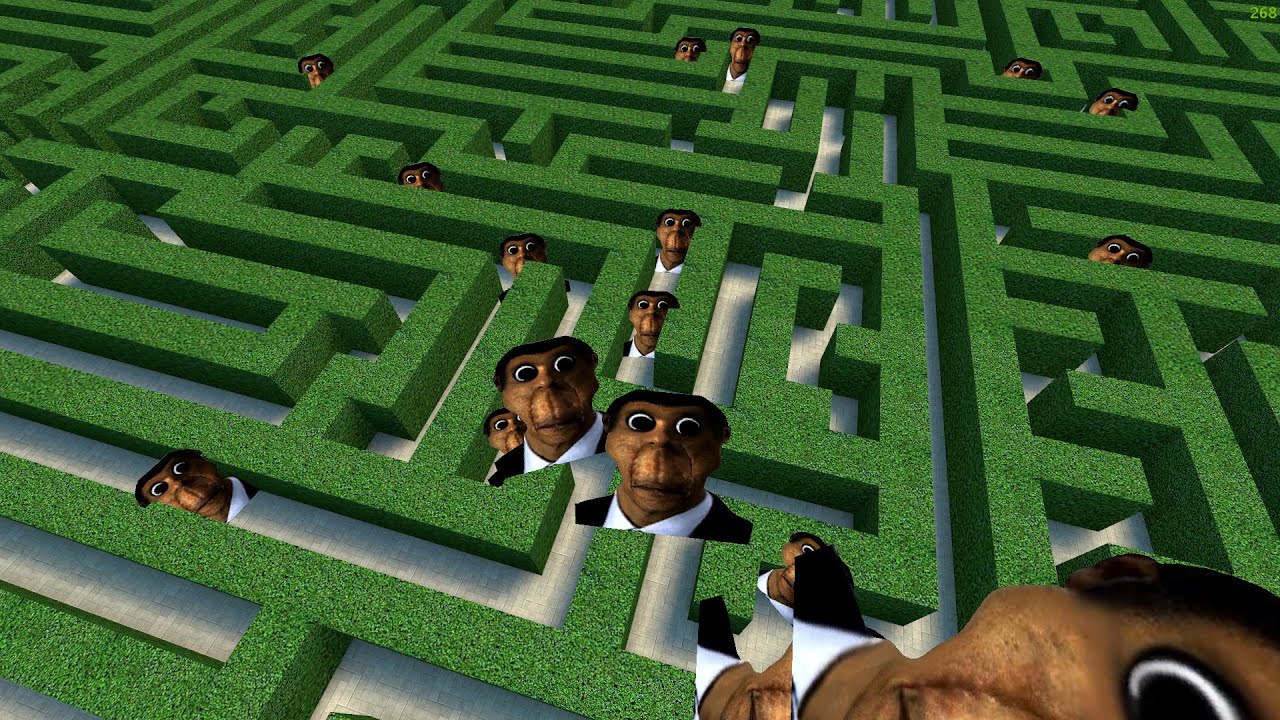 Obunga Maze