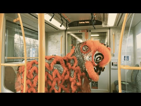 Lion and Buddha Get Ready For Lunar New Year 🧧 | subtle asian traits