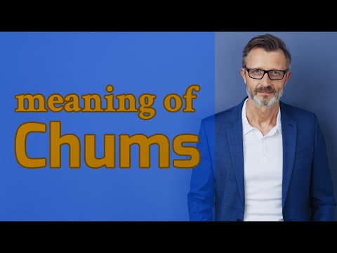 Chums | Definition of chums π π π π π