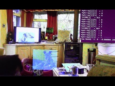 Dog detector 02