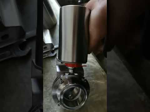 Stainless Steel Dairy Non Return Valves - Stainless Steel DAIRY Tc End ...