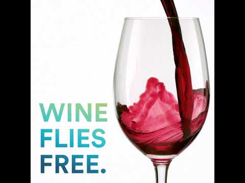 Wine Flies Free