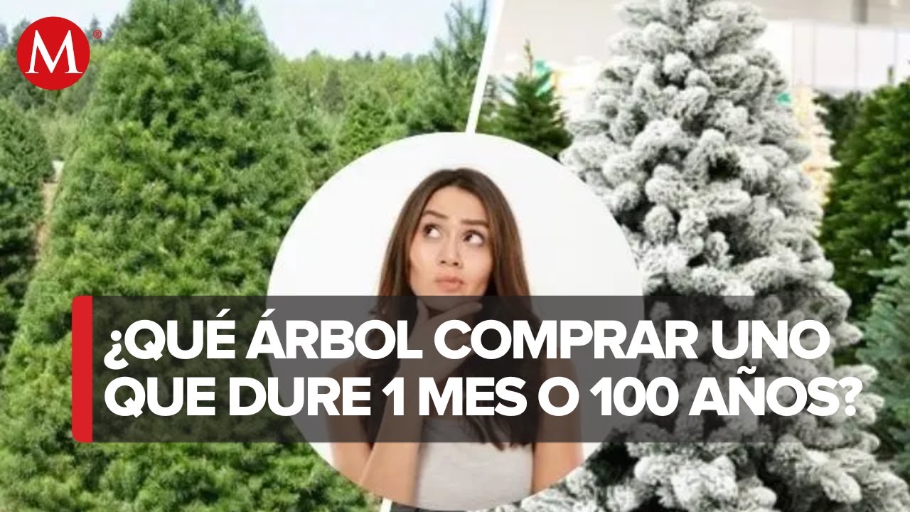 Árbol natural o artificial; ¿Cuál es mejor para el medio ambiente?