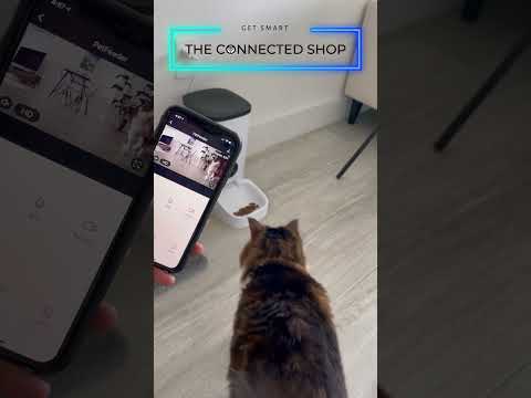 🐱 Best Smart Video Pet Feeder on the market #petfeeder #petaccessories #petsupplies #petfood