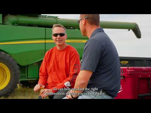 Find The Right Canola Variety For Your Farm - Saskatoon Co-op Agro