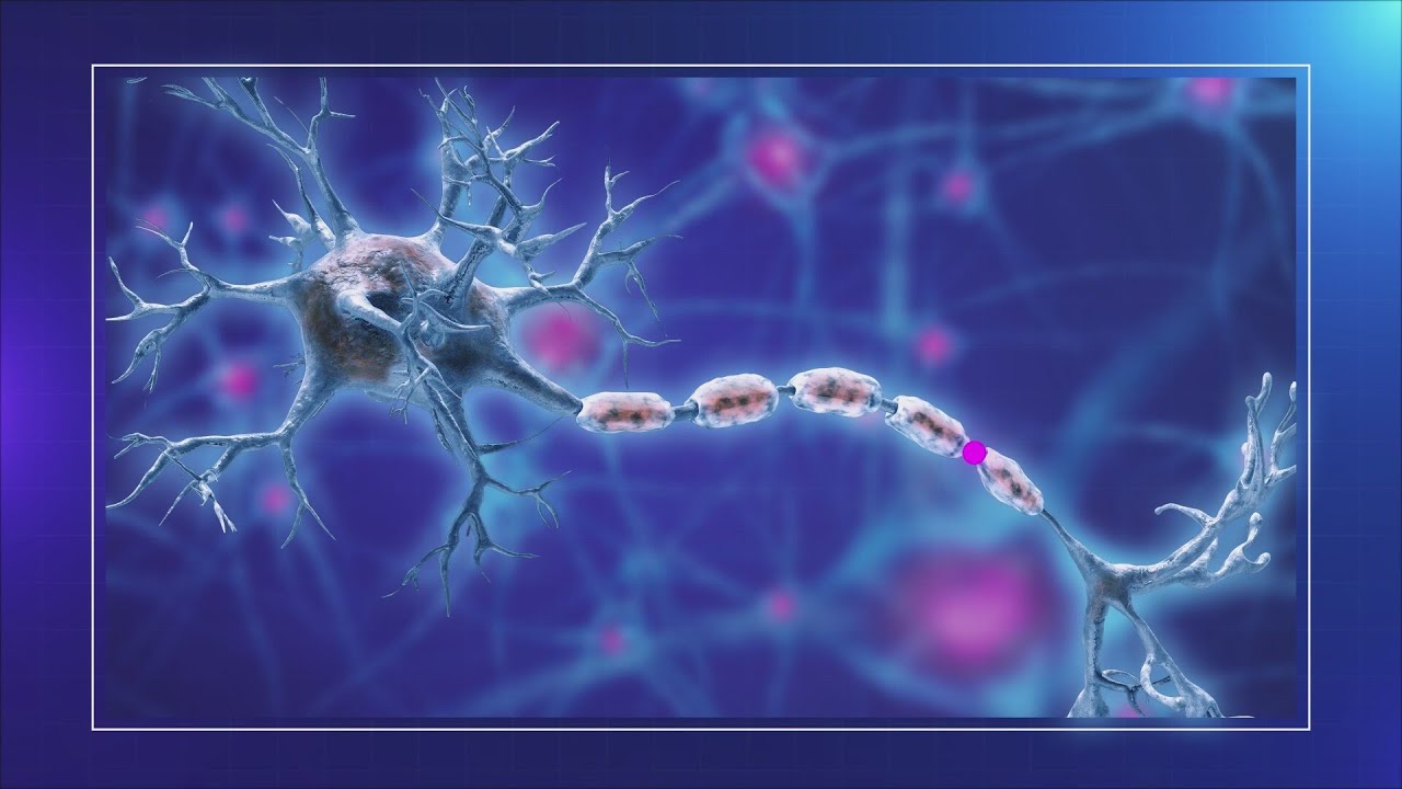 Spinal cord injuries: New drug offers hope to regain function | WGN News