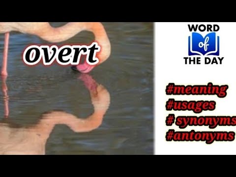 word of the day (overt) meaning,usages,synonyms, antonyms