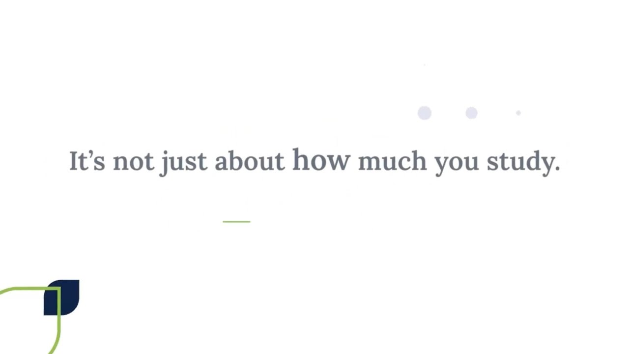 Success Guaranteed: Pass the FRM® with Bionic Turtle