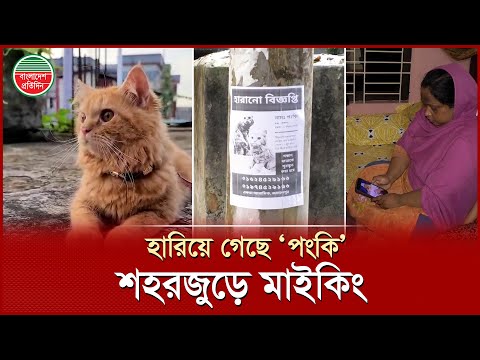 ‘পংকি’ কে হারিয়ে মায়ের আহাজারি, পোস্টার ছাপিয়ে শহরময় খোঁজ! | Ponki | Missing | Bangladesh Pratidin