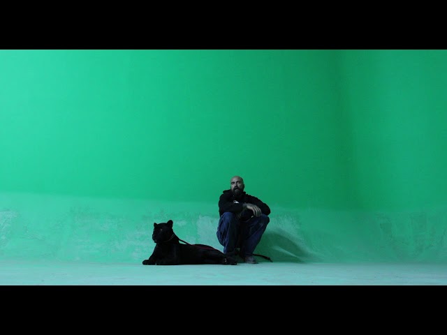 Pantera Jalisco. Dueña pide ayuda Babo, Cartel de Santa, para recuperar ...