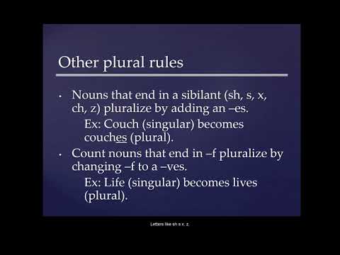 Plurals and Possessives