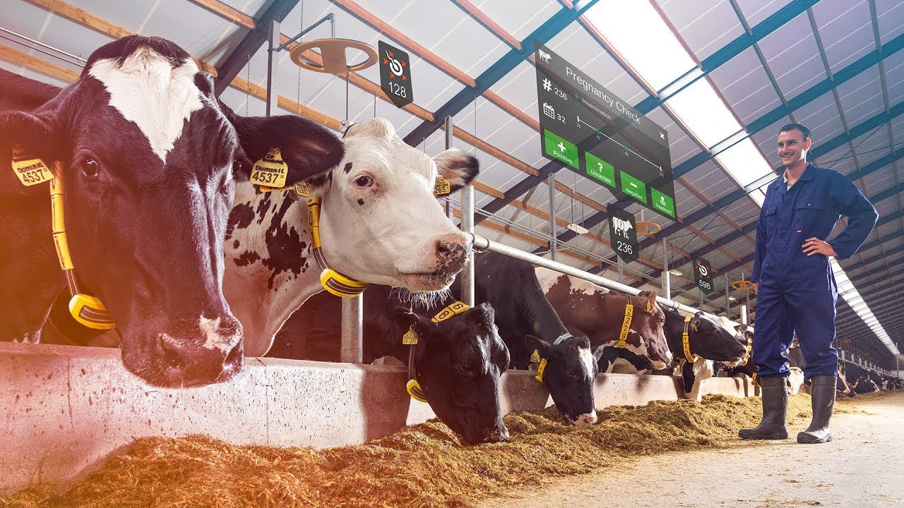 Augmented Reality - Nedap CowControl™