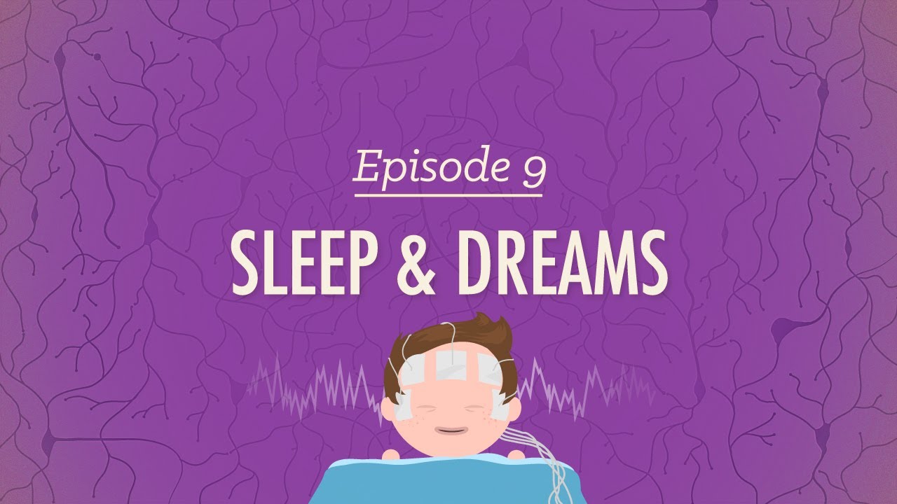 Understanding Sleep: The Science Behind Dreams and Sleep Disorders ...