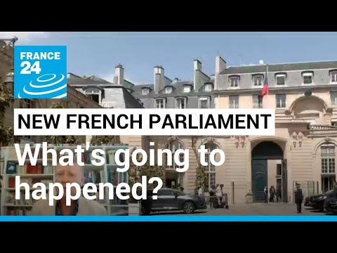 New French parliament: What are president Macron's next options? • FRANCE 24 English