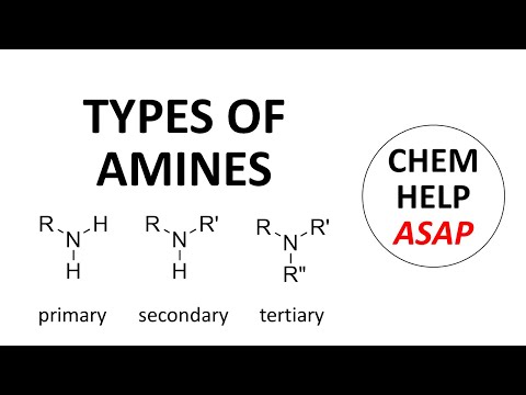 Types of Amines - Primary, Secondary, and Tertiary Video Lecture ...
