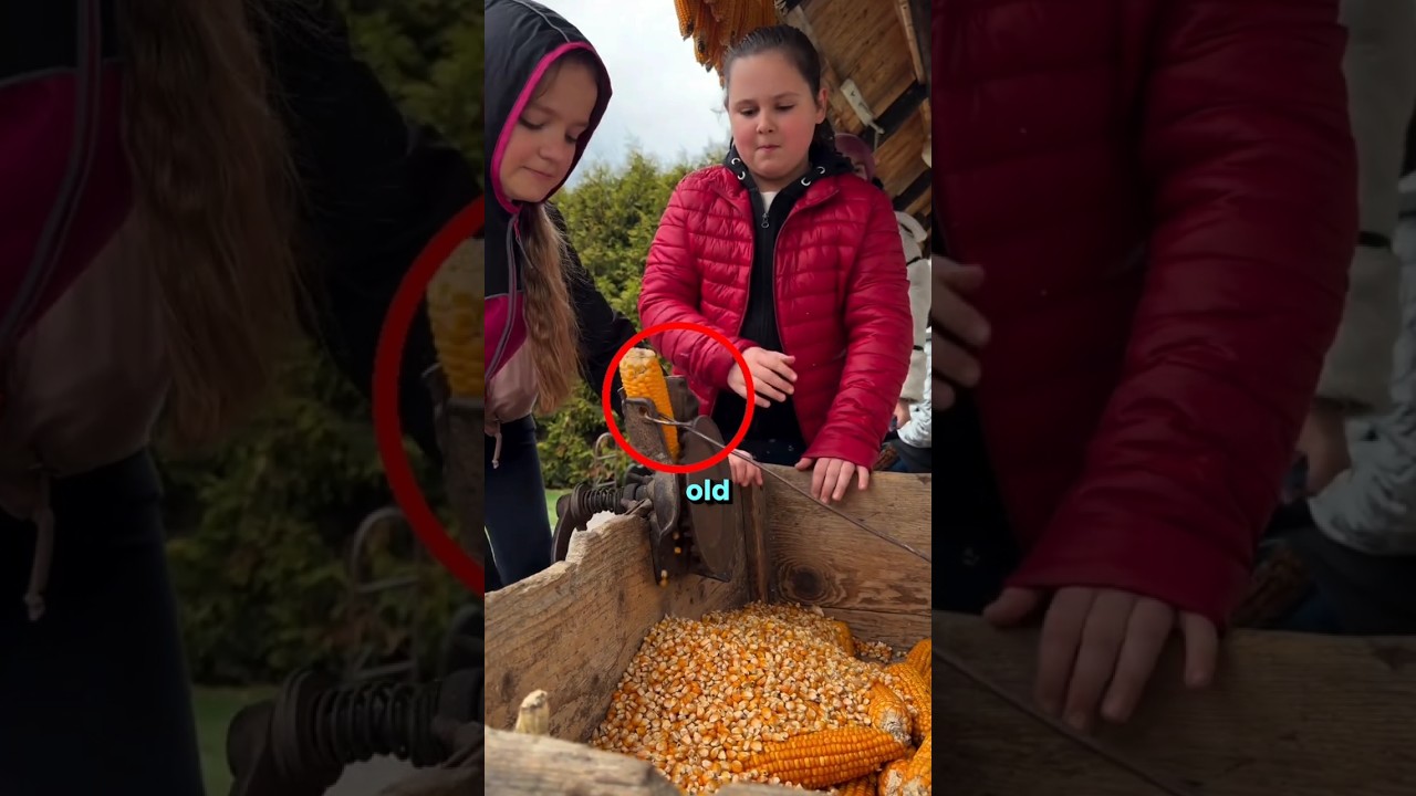 You won’t believe how fast this old corn tool works!