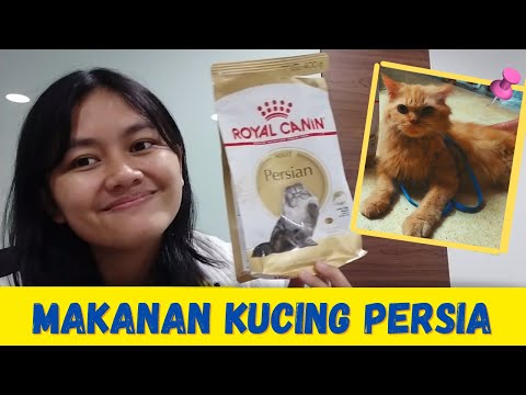 ROYAL CANIN PERSIAN ADULT MAKANAN KUCING PERSIA | MY CATS DIARY
