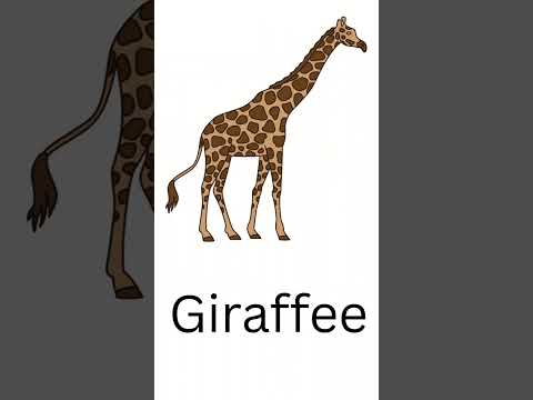 Wild Animals for Kids | Learn Animal Names with Pictures