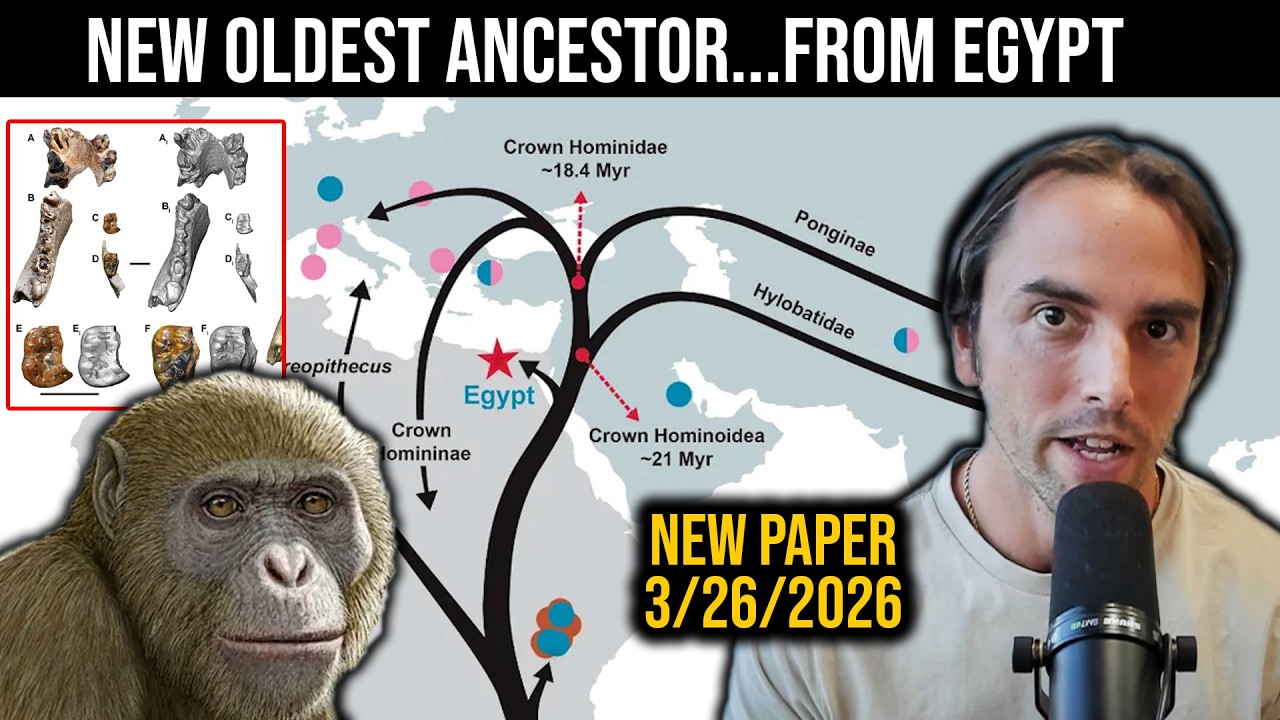 18 million years old 