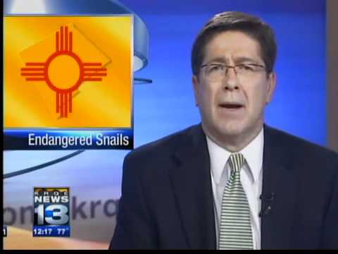 NM land designated as critical habitat for endangered snails