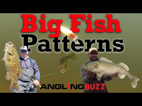 Big Fish Patterns