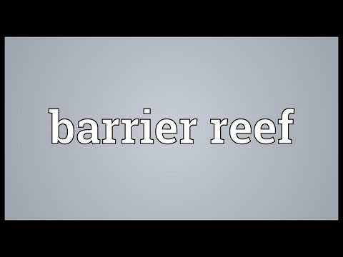 Barrier reef Meaning