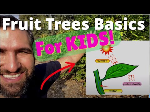 Gardening for Kids! Fruit Tree Basics | Science for Homeschool and Public