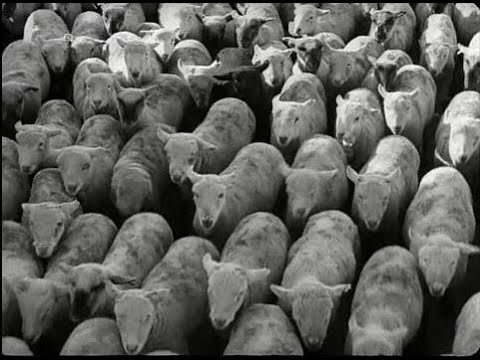 JOHN BRUNNER: THE SHEEP LOOK UP (1972) – Comments on Culture