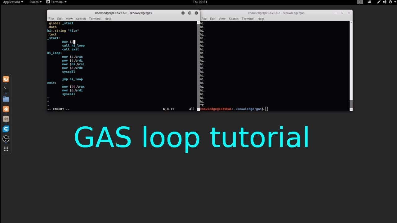 GAS x64 GNU Assembler loop tutorial in Linux