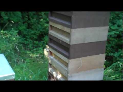 A Woodland Apiary