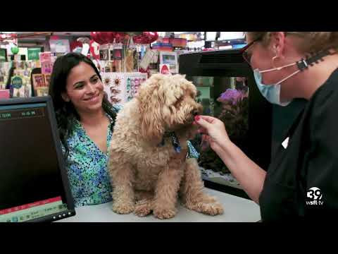 Pill Box Pharmacy & medical supply | Medical supplies compilation 2_2022