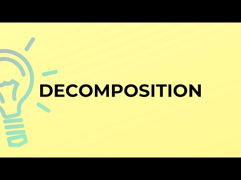 What is the meaning of the word DECOMPOSITION?