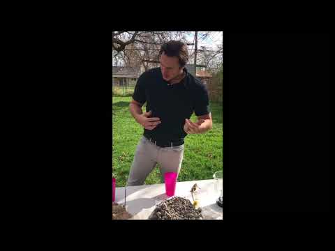 Learning by teaching perched water table